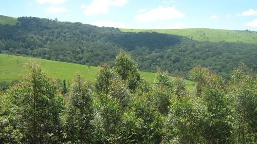 Engcobo Local Municipality - Engcobo. Projects, photos, reviews and ...