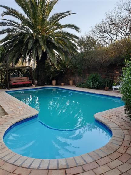 Precision Pools - Alberton. Projects, photos, reviews and more | Snupit