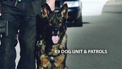 Vusa-Isizwe Security - Pietermaritzburg. Projects, photos, reviews and ...